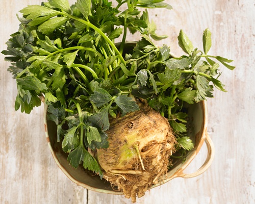 Apionabo - Delicooks