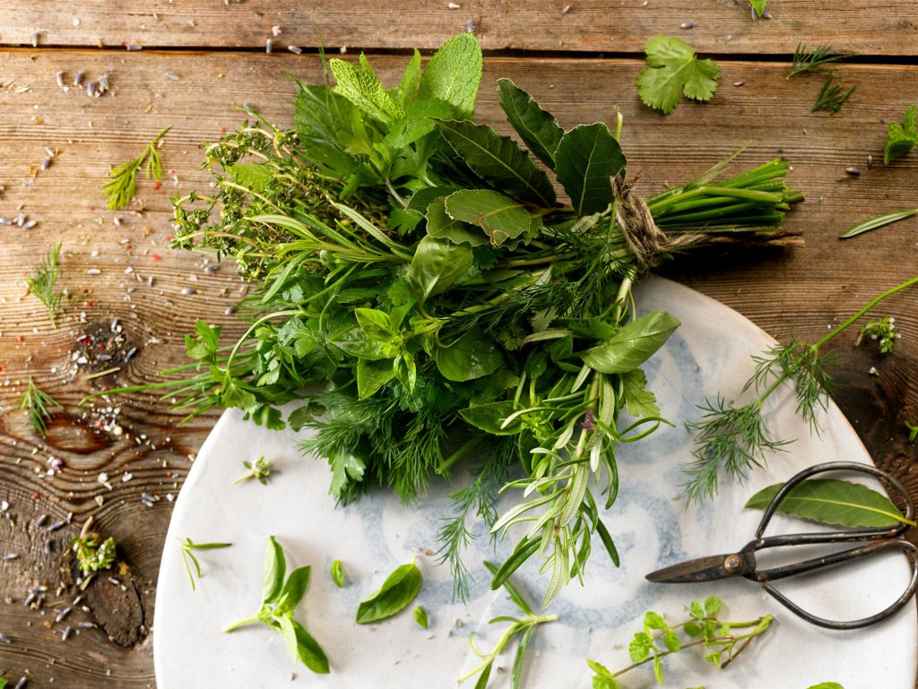 Sue Chávez - Delicooks